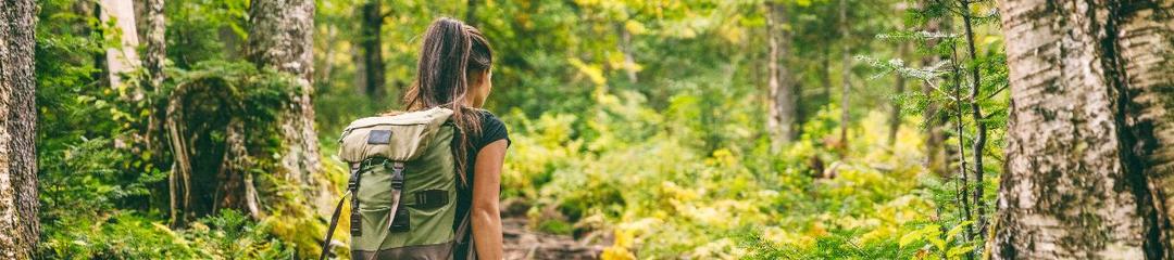 Insectenbeten herkennen en behandelen | Service Apotheek